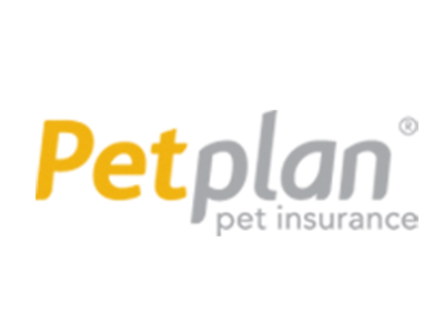 Pet Insurance In Florida | Best Companies, Plans, Rates, & More