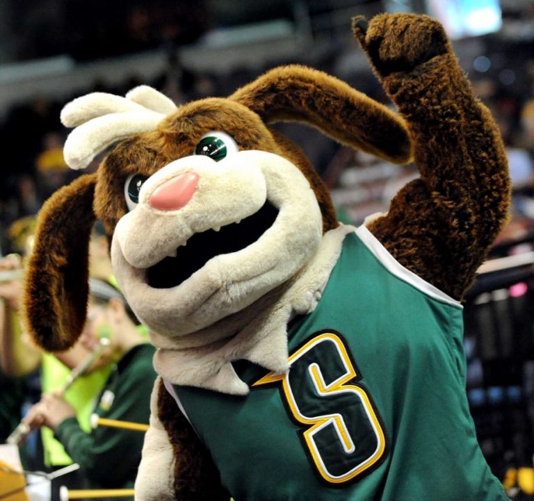 Top 5 Dog Breeds That Serve as Team Mascots | Pet Insurance U