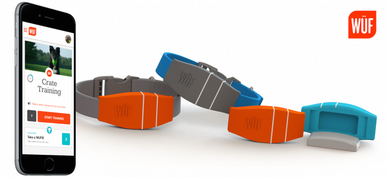 10 Kickstarter Pet Gadgets that are Making it Big