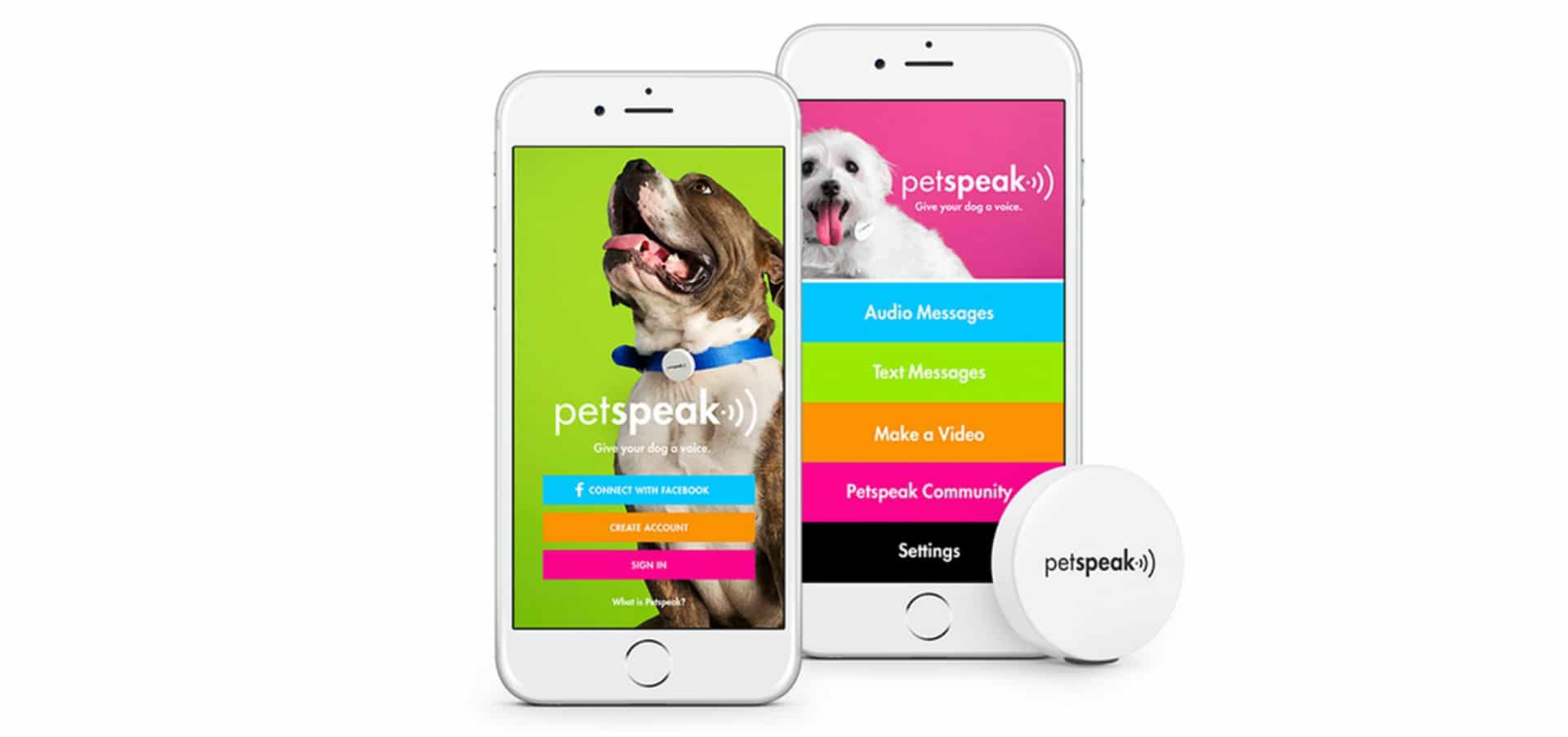 10 Kickstarter Pet Gadgets that are Making it Big