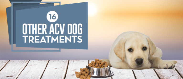 Apple Cider Vinegar for Dogs | 17 Proven Benefits