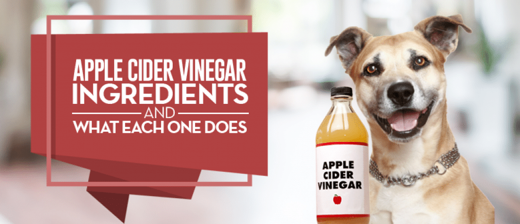 Apple Cider Vinegar for Dogs | 17 Proven Benefits