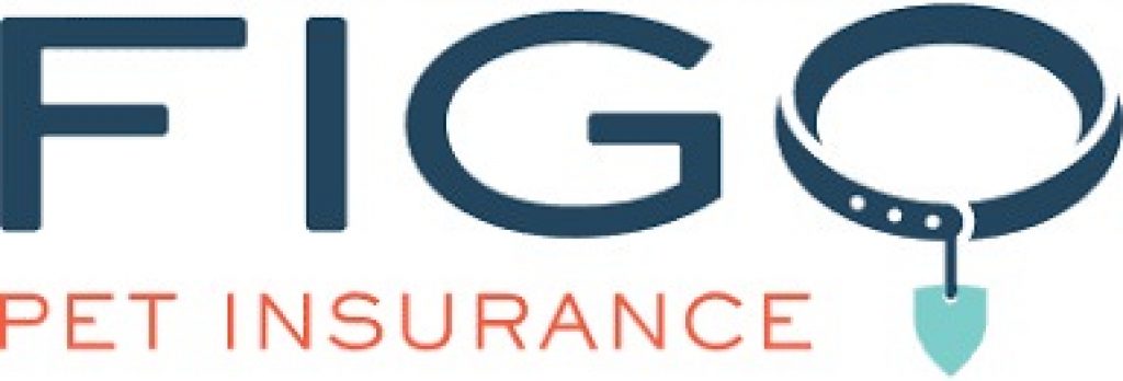 Pet Insurance in New York City | Pet Insurance U