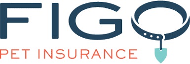Pet Insurance in New York City | Pet Insurance U