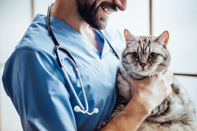 PetPartners Pet Insurance Review | Pet Insurance U