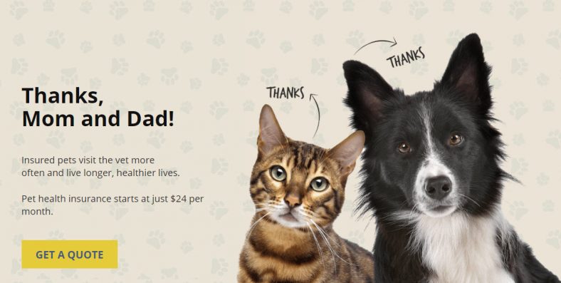 How Do Pet Insurance Reimbursements Work? | Types + Examples