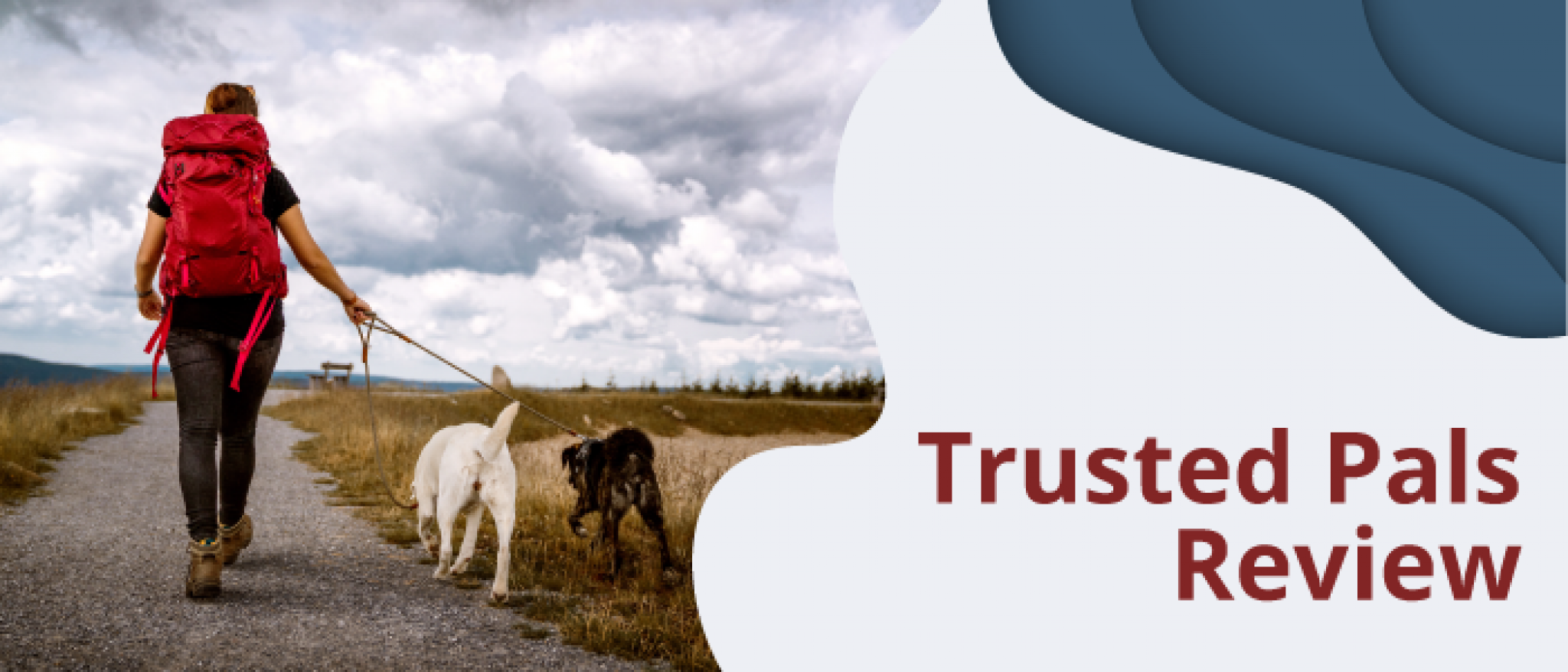 Can You Really Trust – TrustedPals? (Insider Company Review) | Pet ...