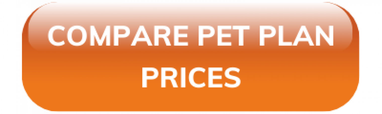 PetPlan vs. PetFirst | Pet Insurance Plans, Costs & Coverage Compared